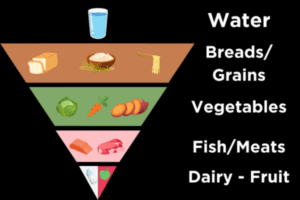 The Japanese Food Pyramid: The Staples of a Balanced Diet